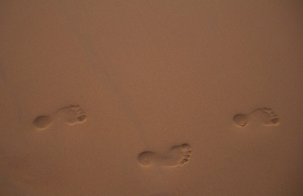 Stuart Manning - Official Website